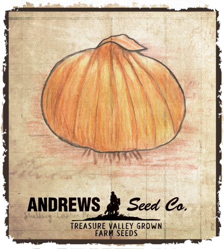 Walla Walla Sweet Onion – Andrews Seed Company