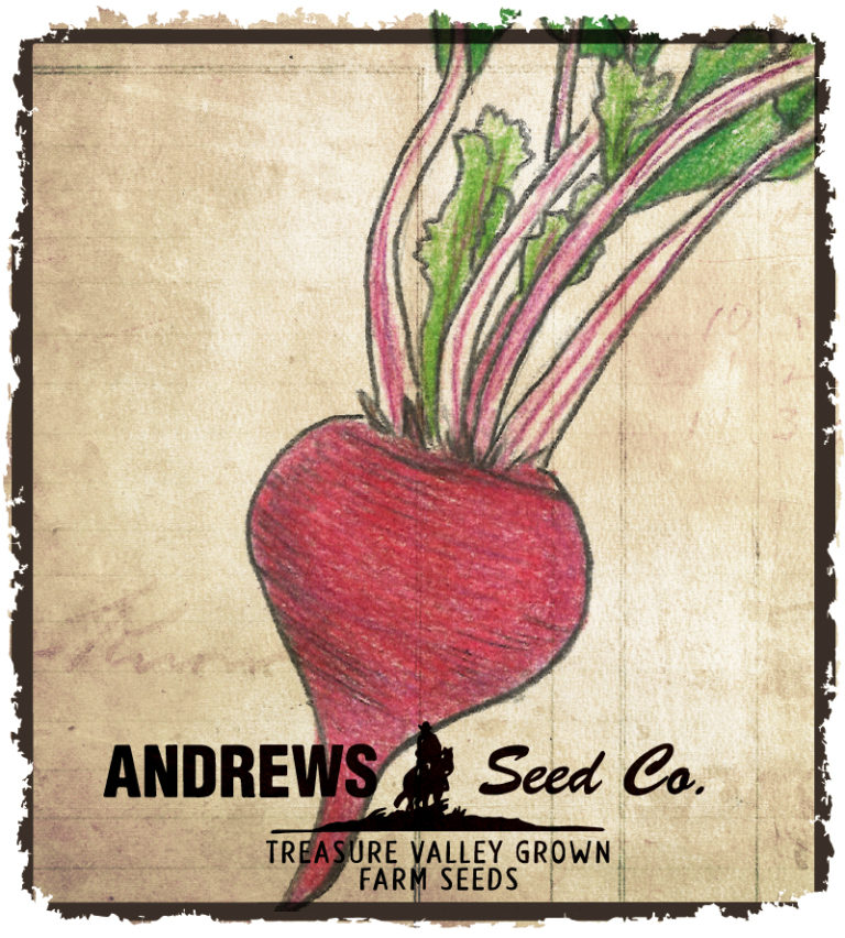 Ruby Queen Beet – Andrews Seed Company