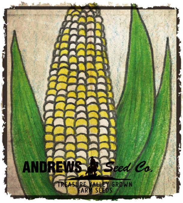 Trinity – Andrews Seed Company
